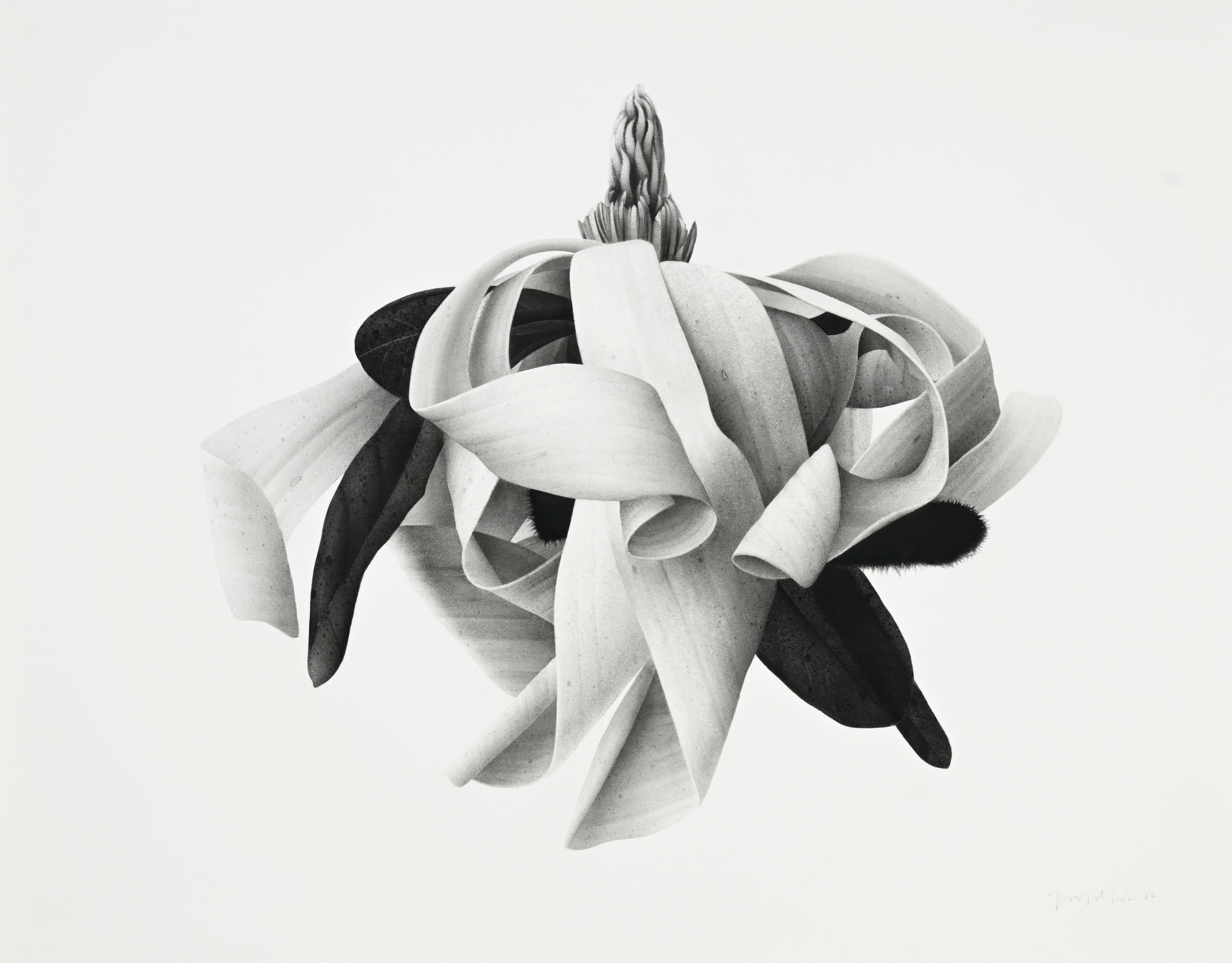 Jonathan Delafield Cook (1966) , " Magnolia… | Piguet
