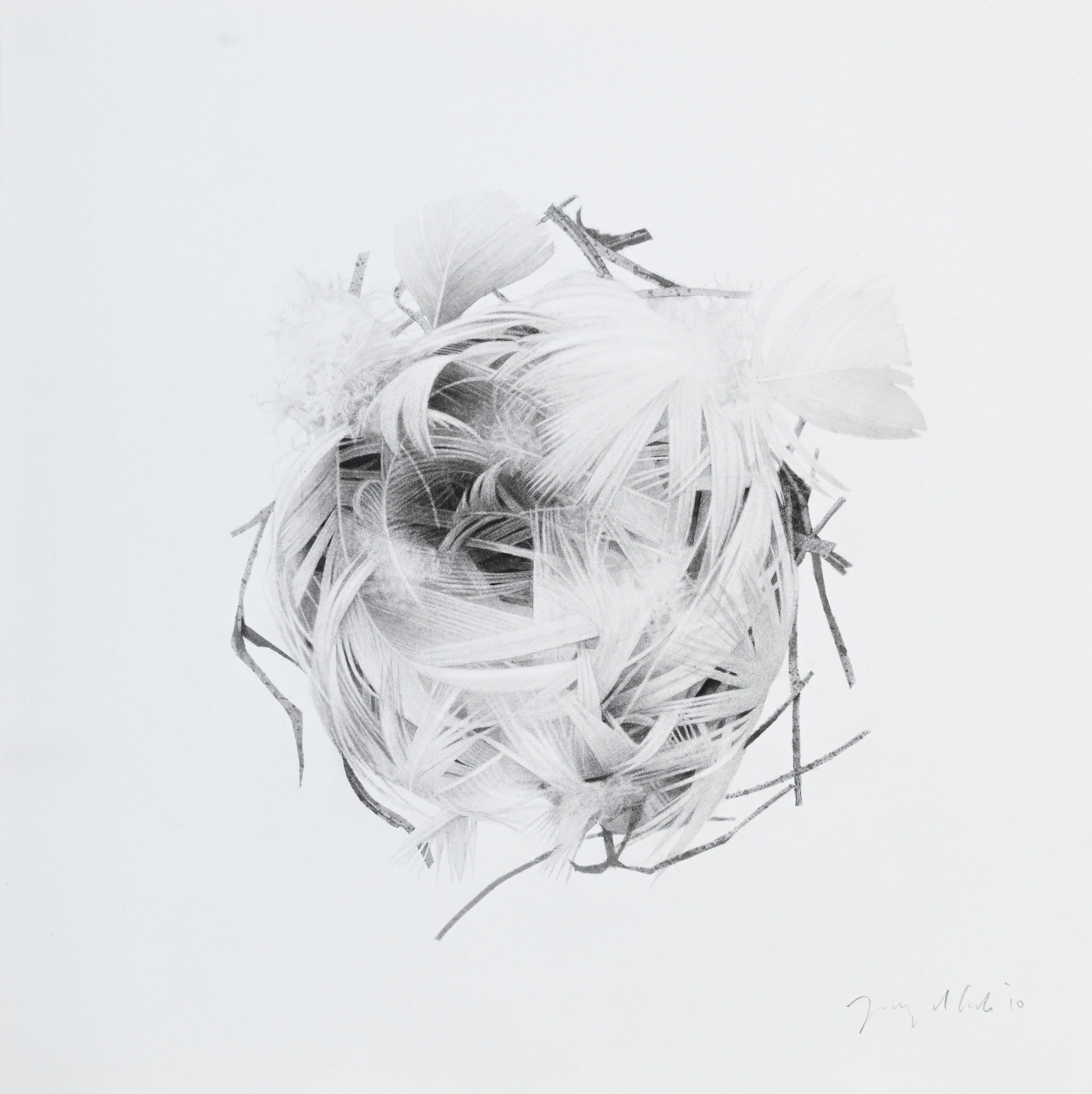 Jonathan Delafield Cook (1966) , " Riparia Nest I… | Piguet